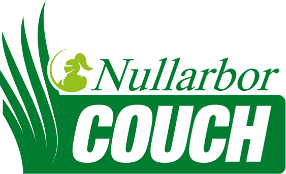 Nullarbor Couch Turf – Brisbane | Sunshine Coast | Gold Coast